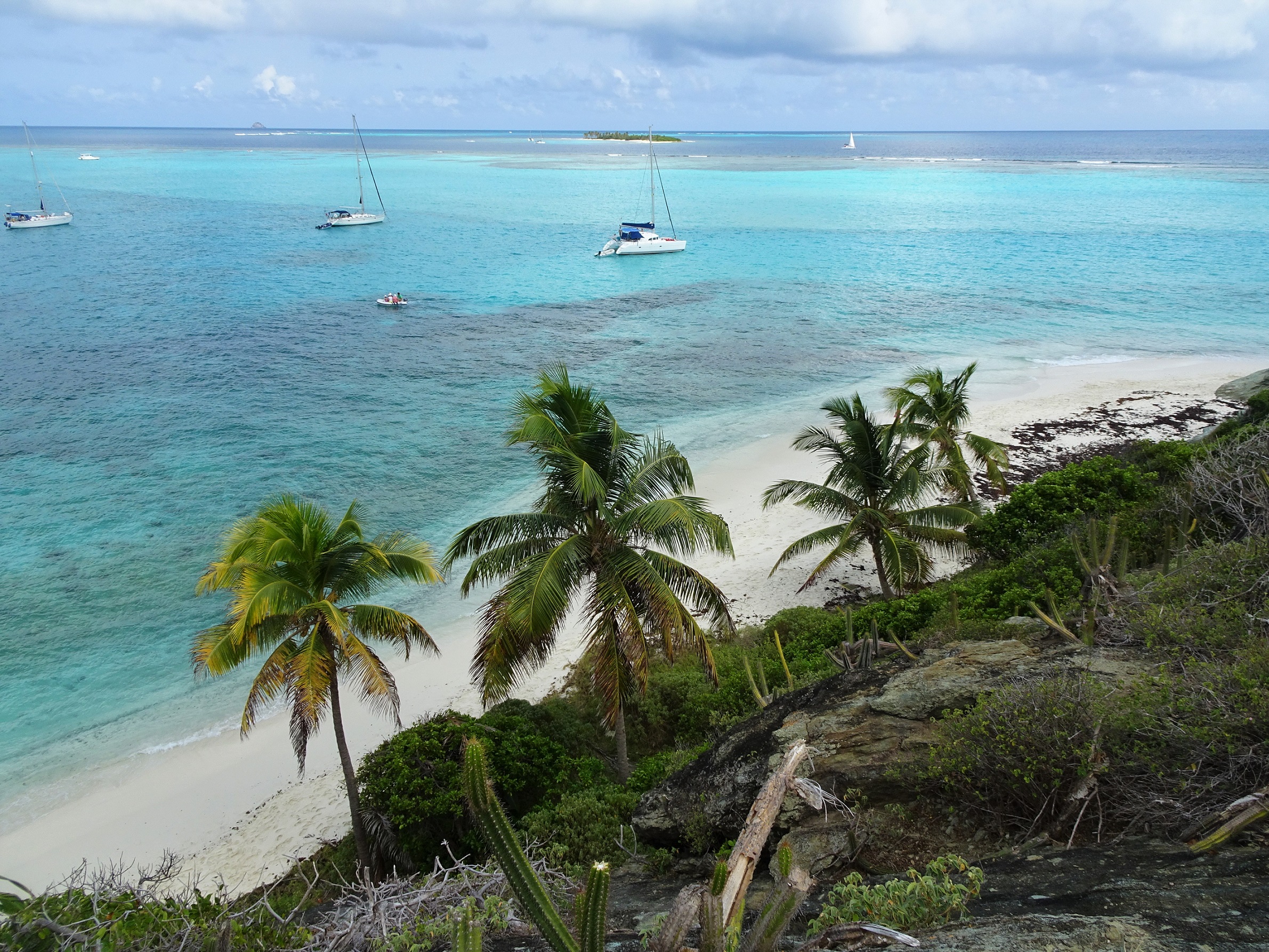 Tobago Cays-Jamesby & Petit Bateau - s/v Cloudy Bay (HR54)-sailing blog